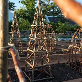 Magnificent Food Garden | Babylonstoren