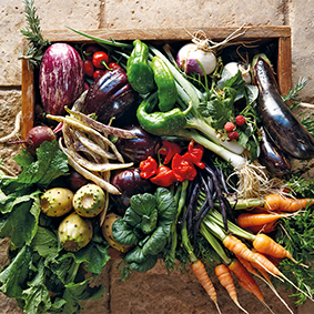 Workshops | Babylonstoren